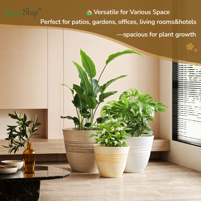 How to Choose the Right Pot and Planter Size for Your Plants - GreenShip