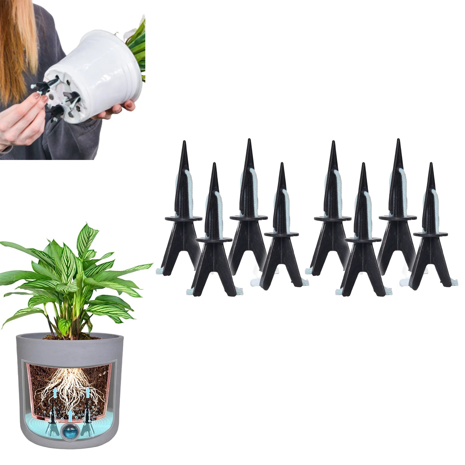 Give Your Plants a Seasonal Upgrade with Plant Watering Spikes - GreenShip